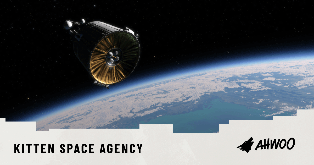 Kitten Space Agency